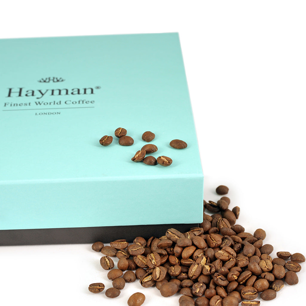 Hayman Coffee nostaa kahvielämystä: hienoimman kahvin paljastaminen