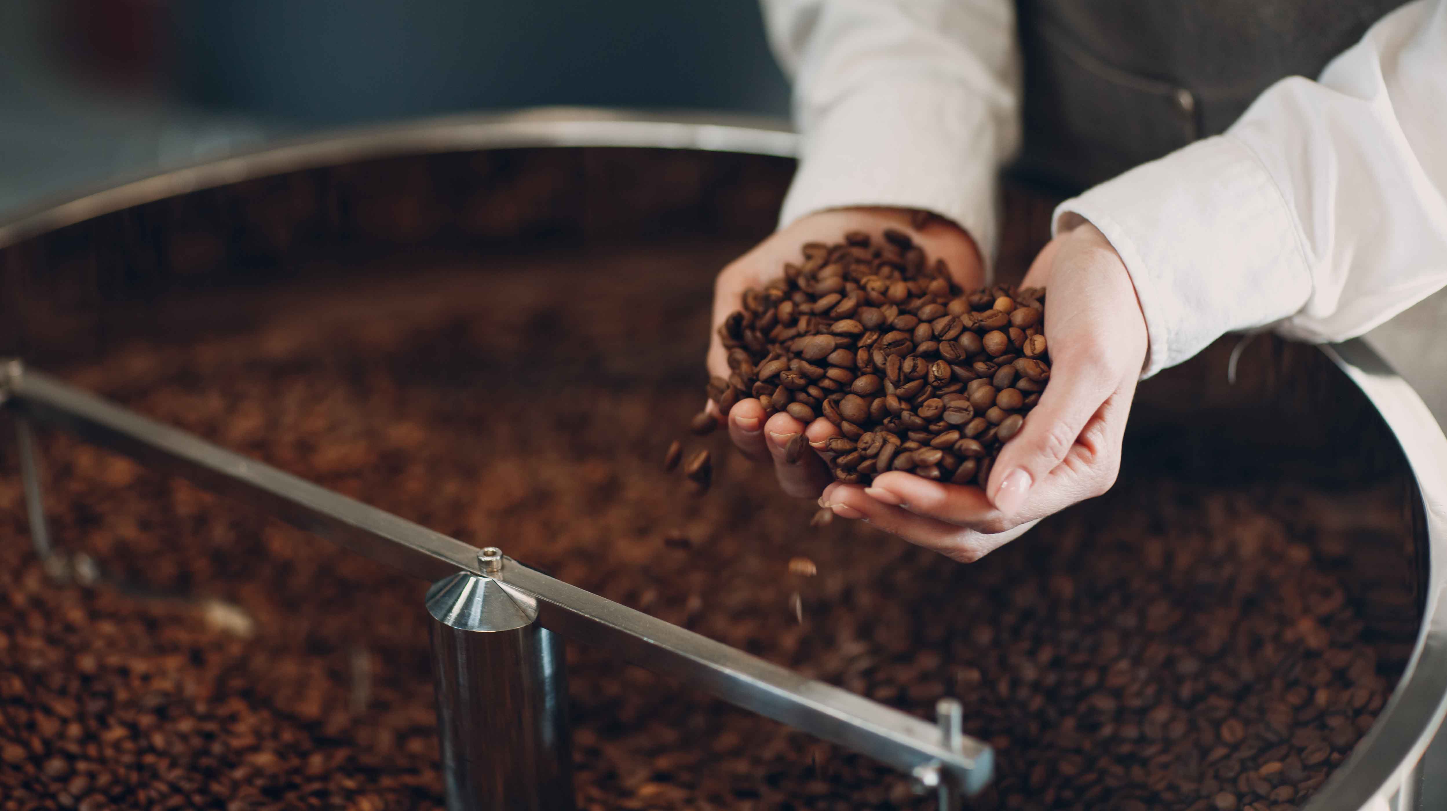 Is Geisha Coffee Arabica or Robusta? – Hayman Coffee